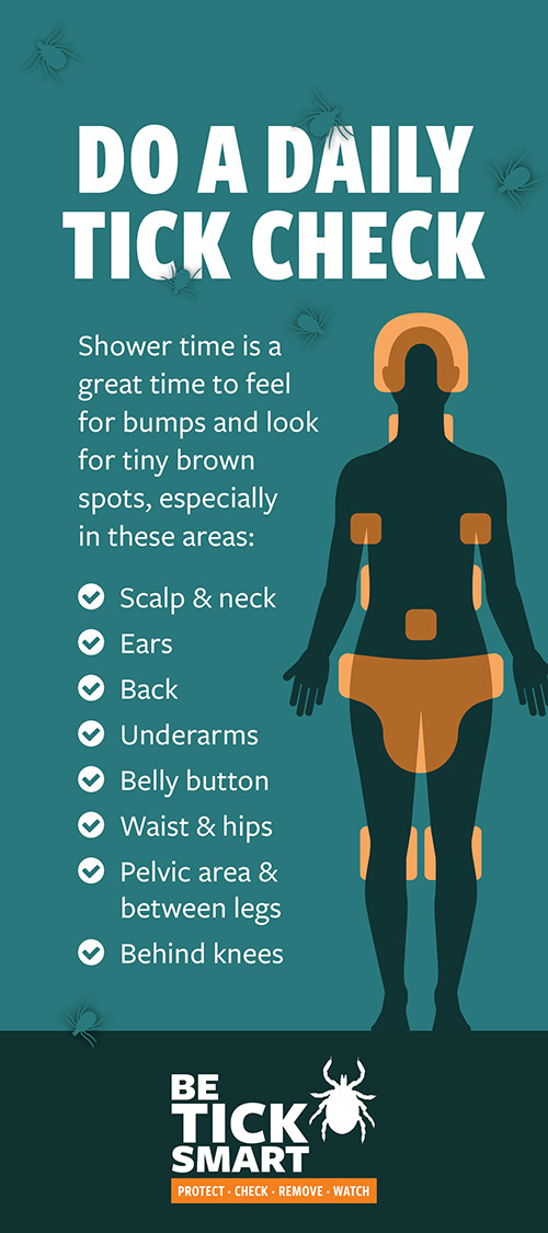 Prevent Tick Bites And Tickborne Diseases Vermont Department Of Health