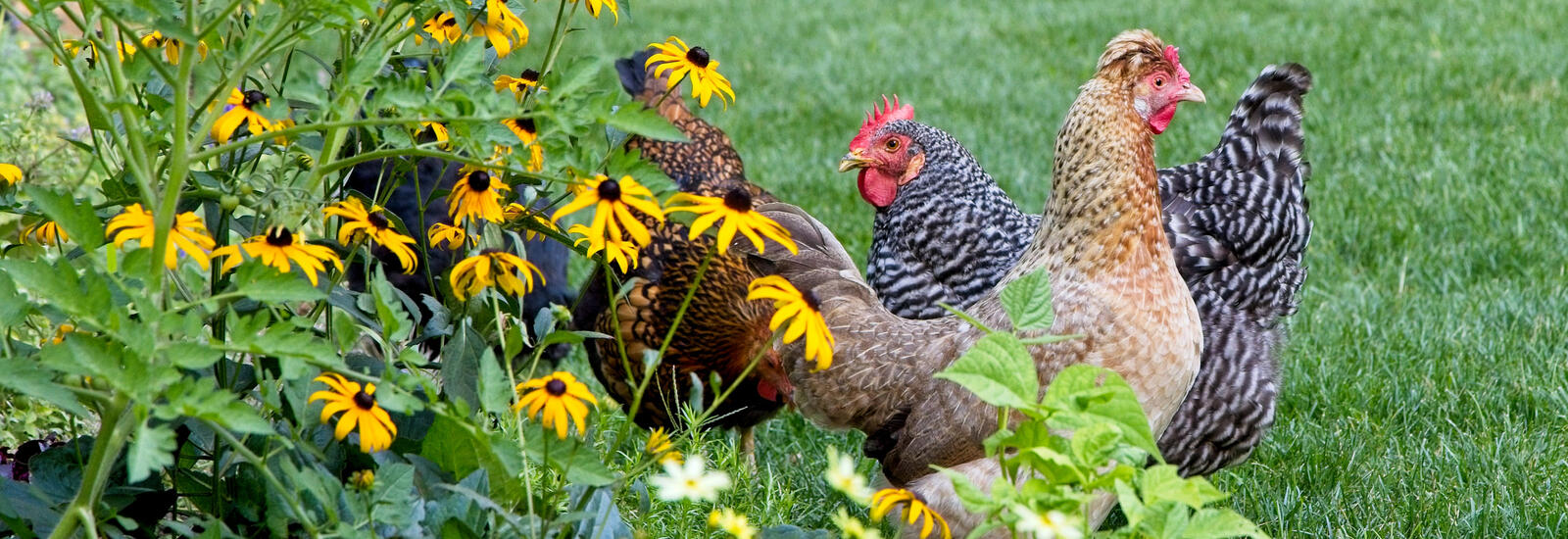 Vermont Department of Health